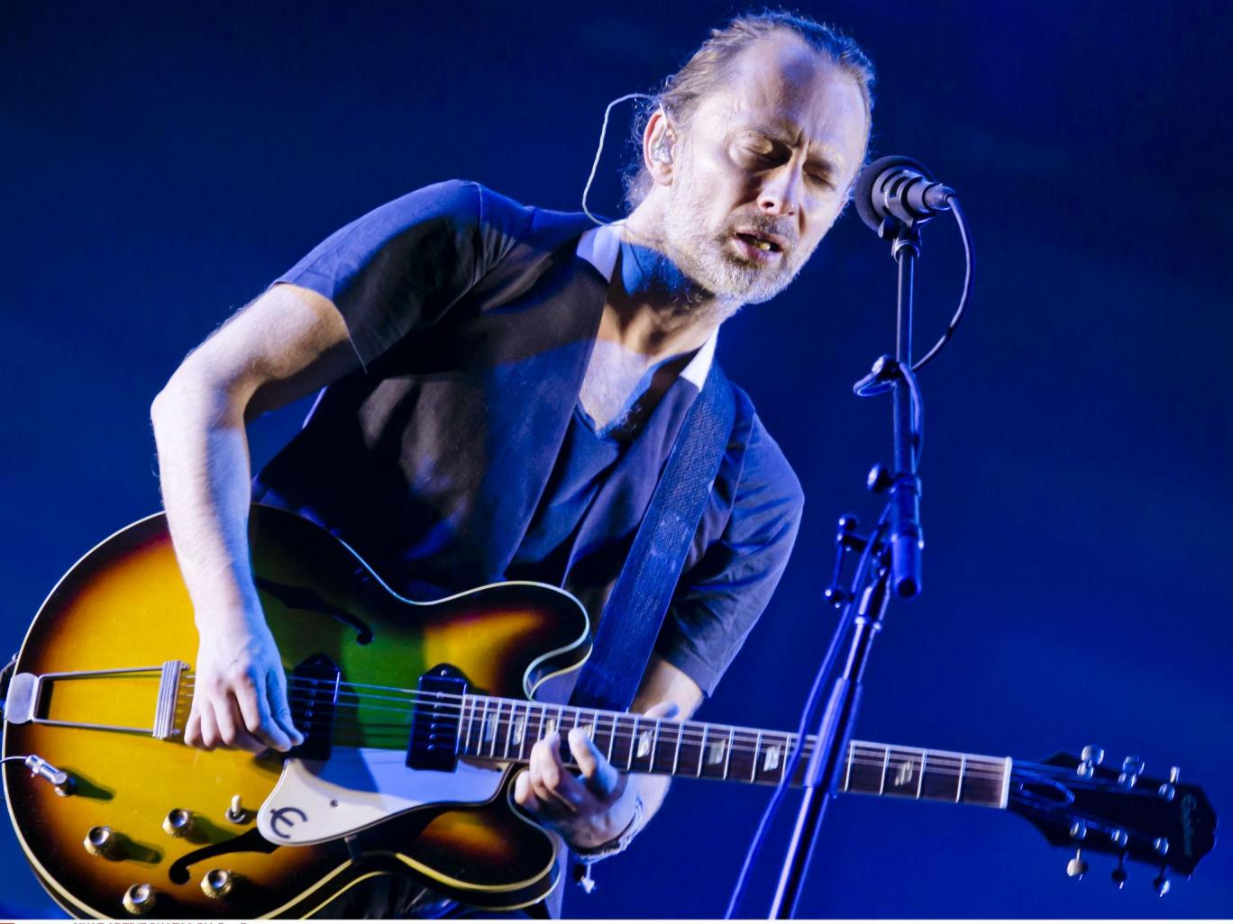 Newly discovered ants species named after Radiohead